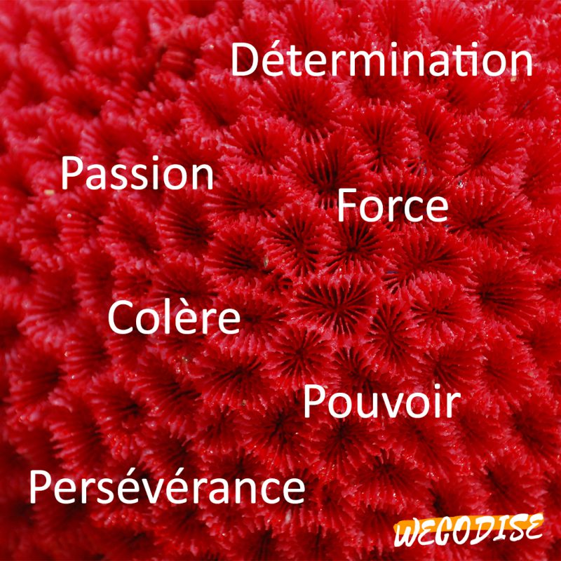 La signification des couleurs dans la communication